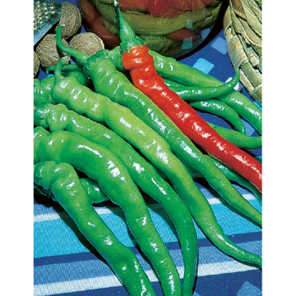 Poivrons - Roduit-Plants SA